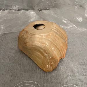 Ceramic Peach Sea Shell Soap Dish / Clam Beach Decor / Coastal Ocean - Etsy
