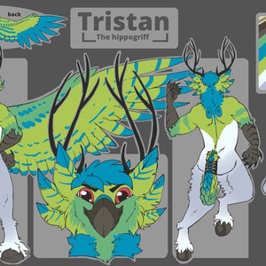 Character Reference Sheet Commission Drawing Illustration - Etsy