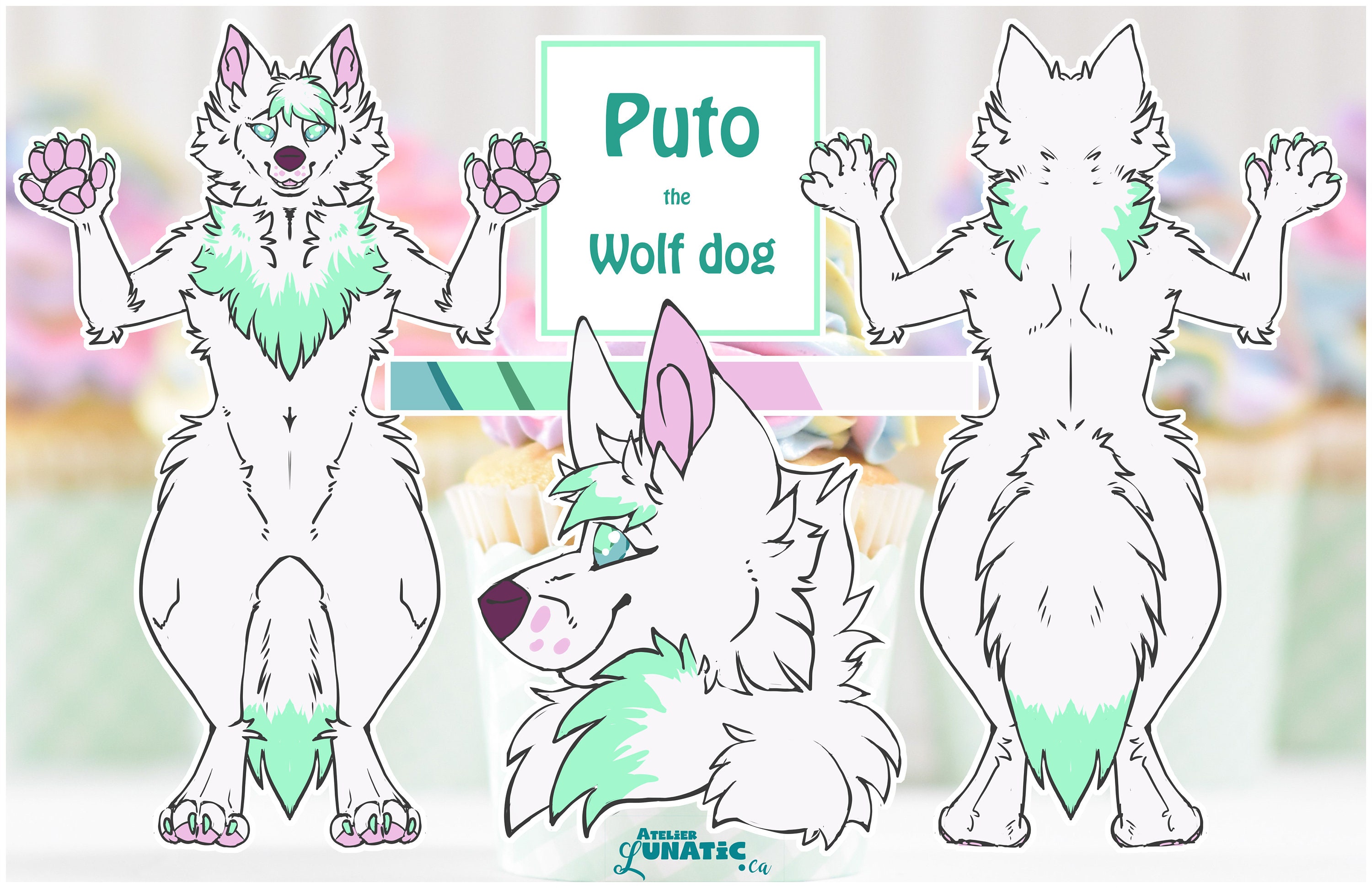 Symmetrical Reference Sheet Furry Character Ref Wolf Cat Fox | Etsy Canada