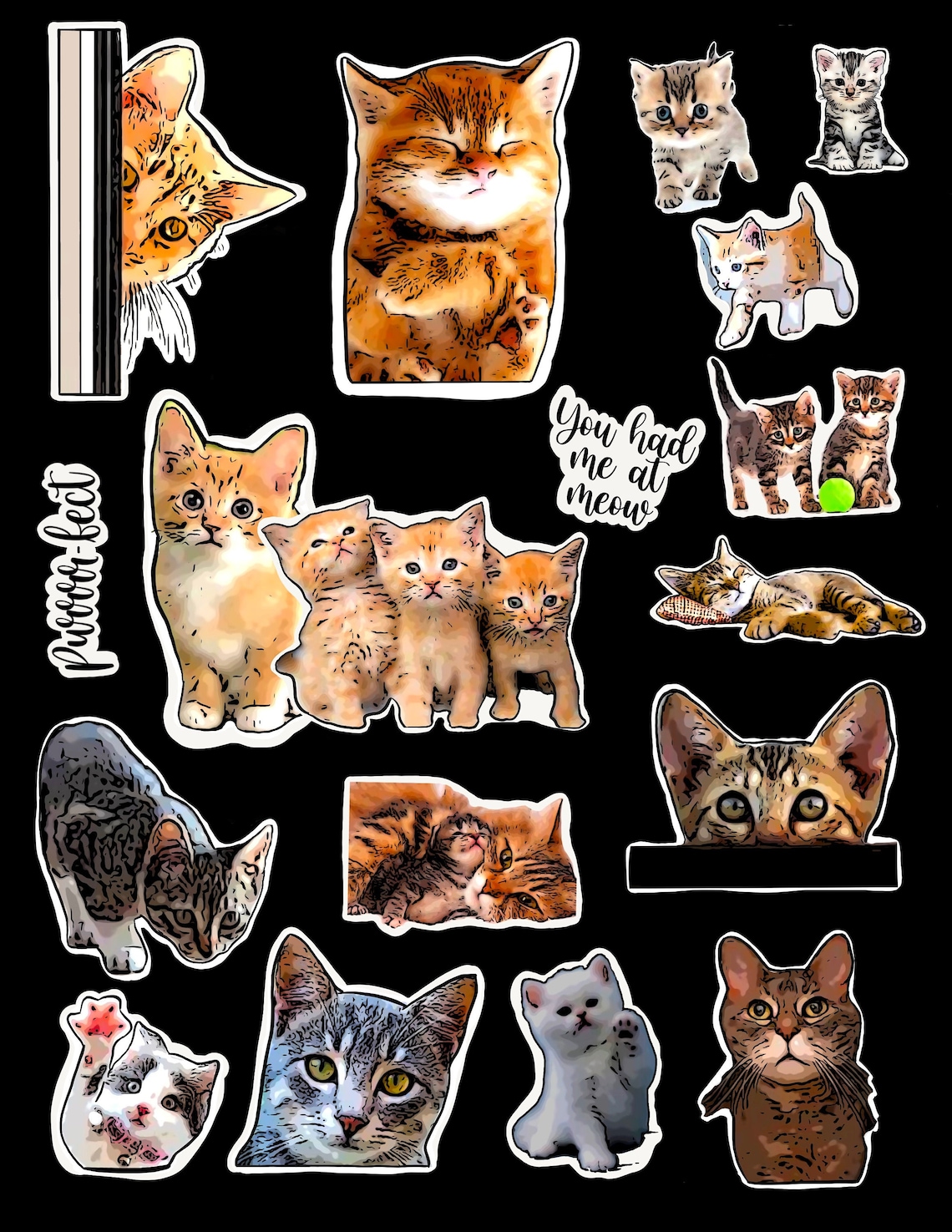 Printable Cat Stickers- DIGITAL DOWNLOAD, PNG, Waterslides, Decals ...