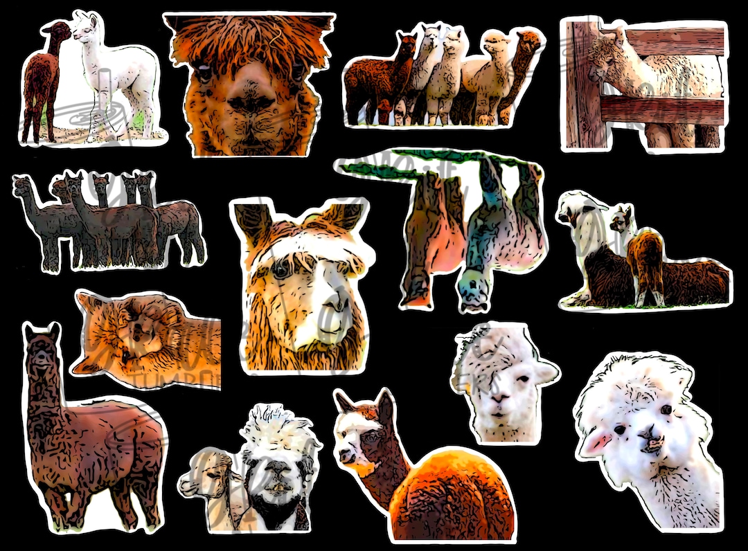 Printable Stickers- Alpaca- DIGITAL DOWNLOAD, PNG, Waterslides, Decals ...