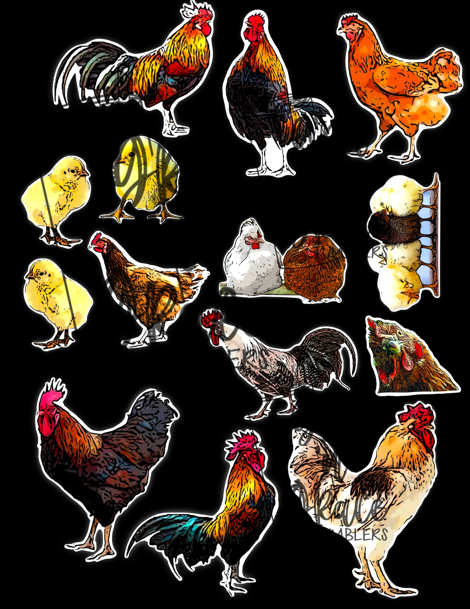 Printable Stickers- Chickens- DIGITAL DOWNLOAD, PNG, Waterslides ...