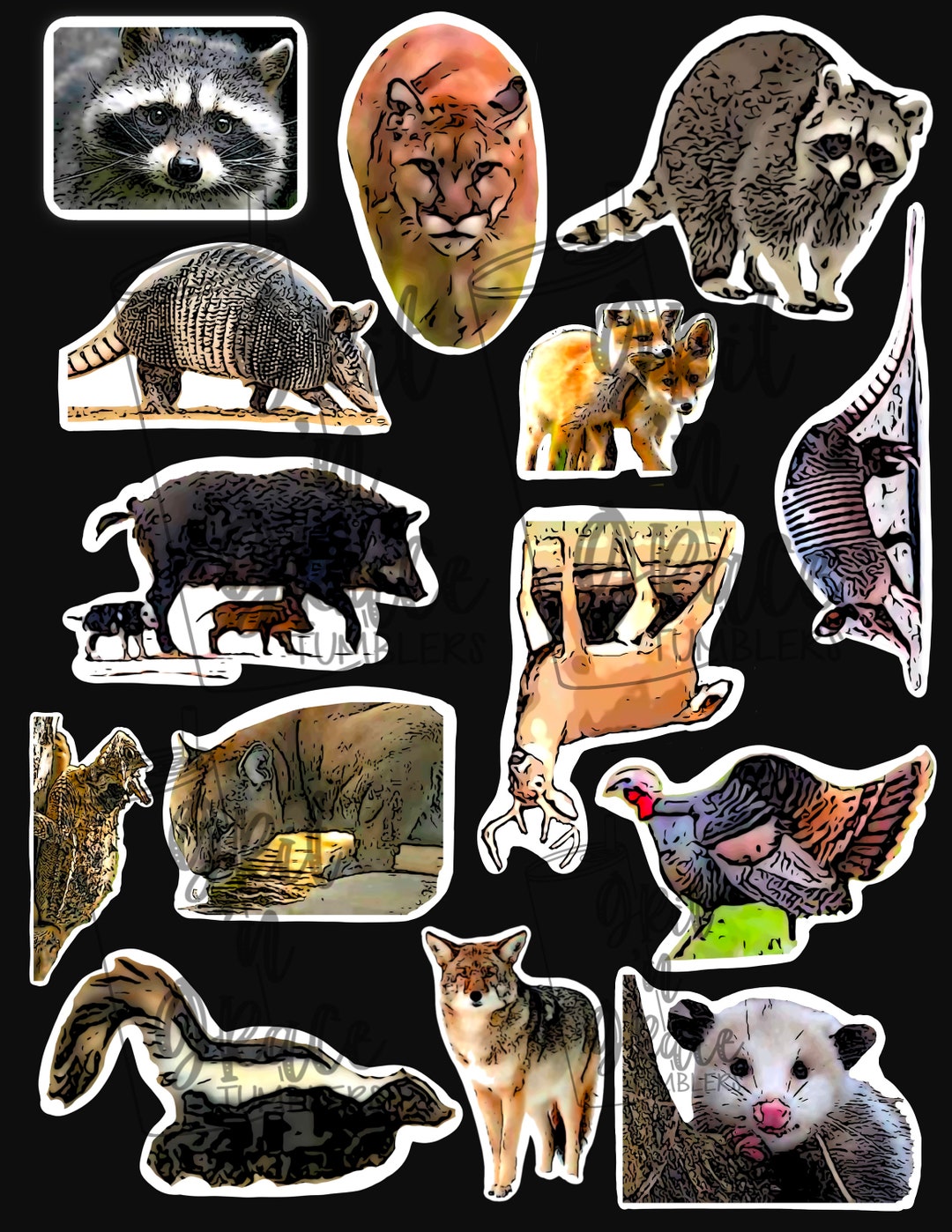 Printable Stickers- Texas Wildlife- DIGITAL DOWNLOAD, PNG, Waterslides ...