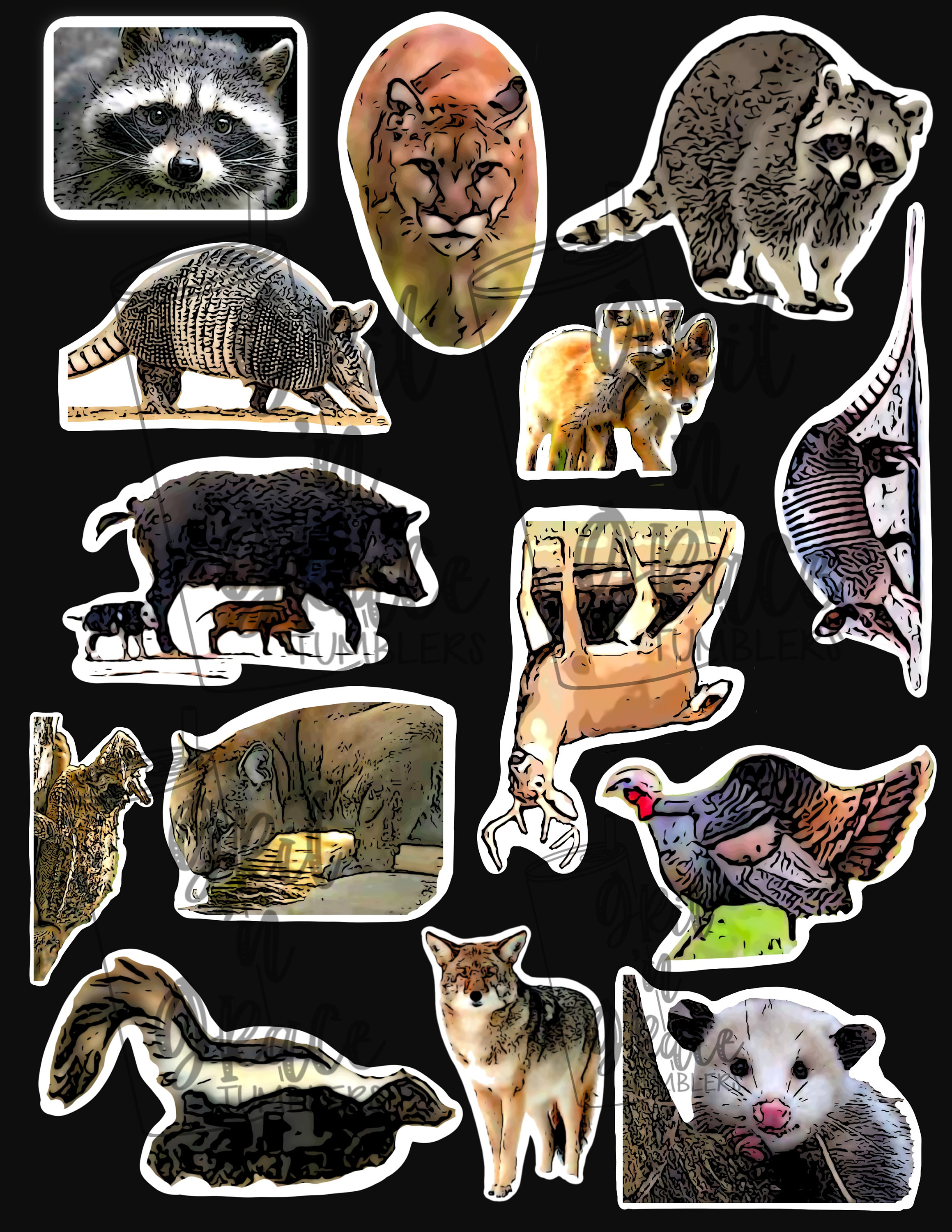 Printable Stickers- Texas Wildlife- DIGITAL DOWNLOAD, PNG, Waterslides ...