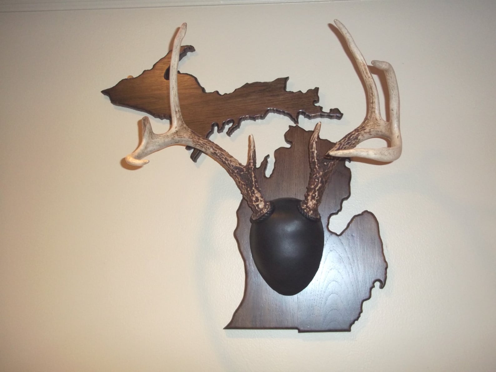 Deer Antler Mounting Kit Deerskin Leather - Etsy