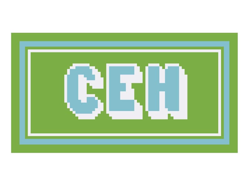 Custom Monogram Needlepoint Pattern: Sunglasses Case (PDF) - Etsy