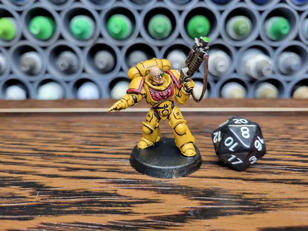 Imperial Fists Intercessor Professionally Painted Warhammer - Etsy
