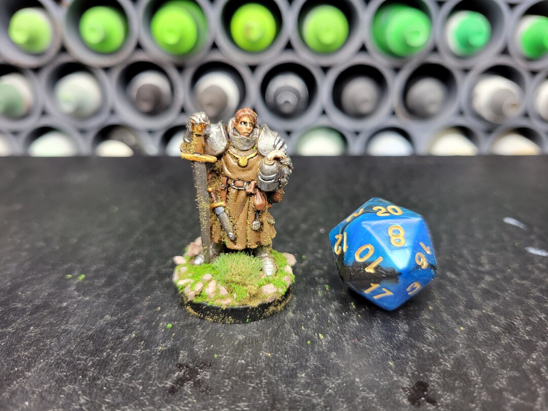 Paladin Custom Painted Dungeons and Dragons Miniature - Etsy