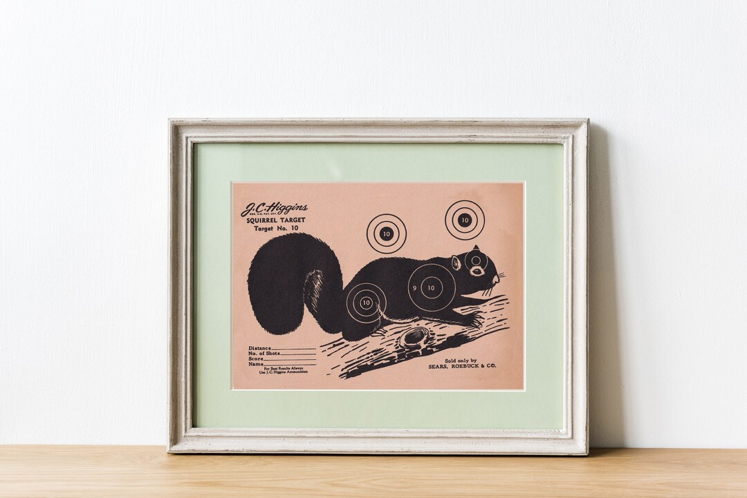 Squirrel Target, Digital Vintage Squirrel Target, Printable Vintage ...
