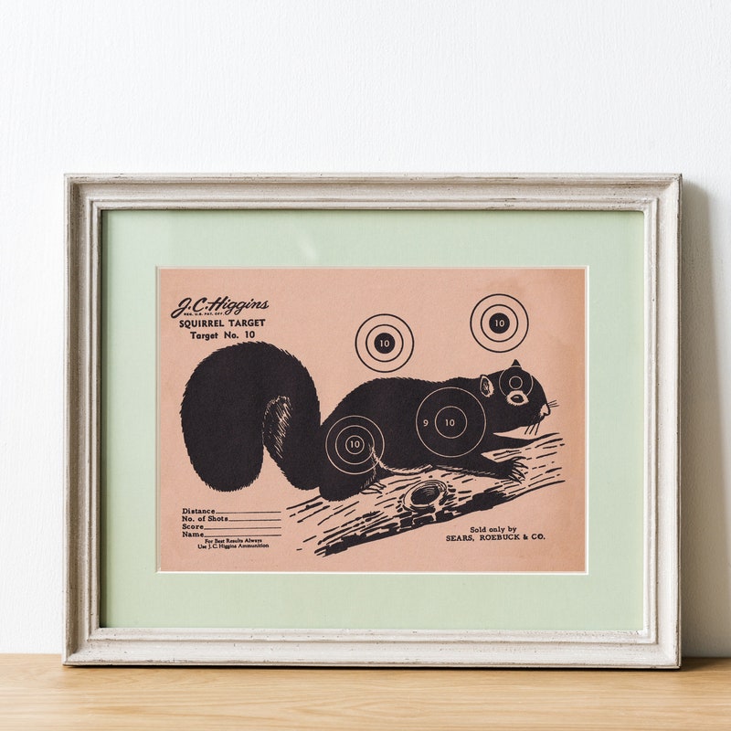 Squirrel Targets - Etsy