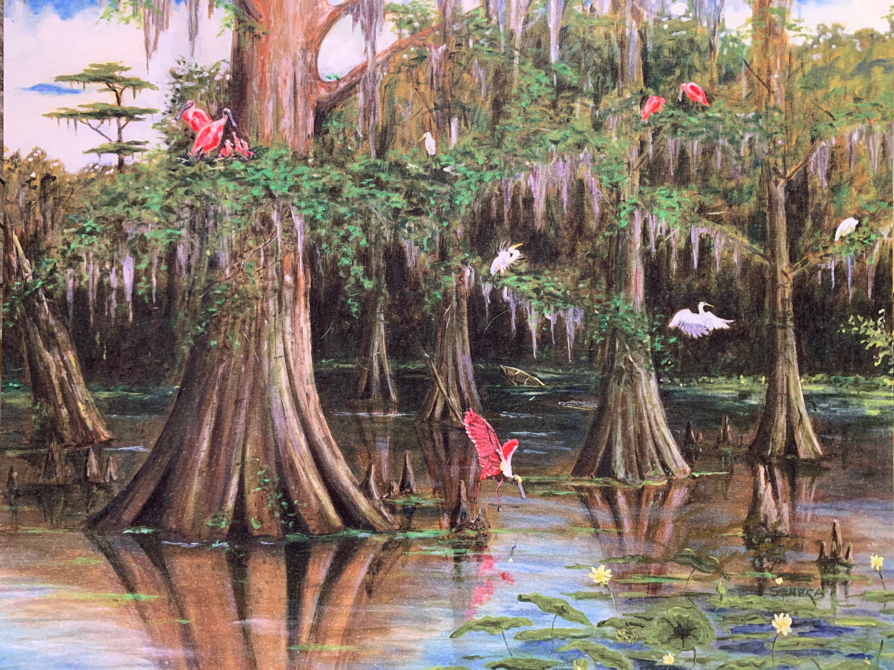 Swamp Scene Wallpaper