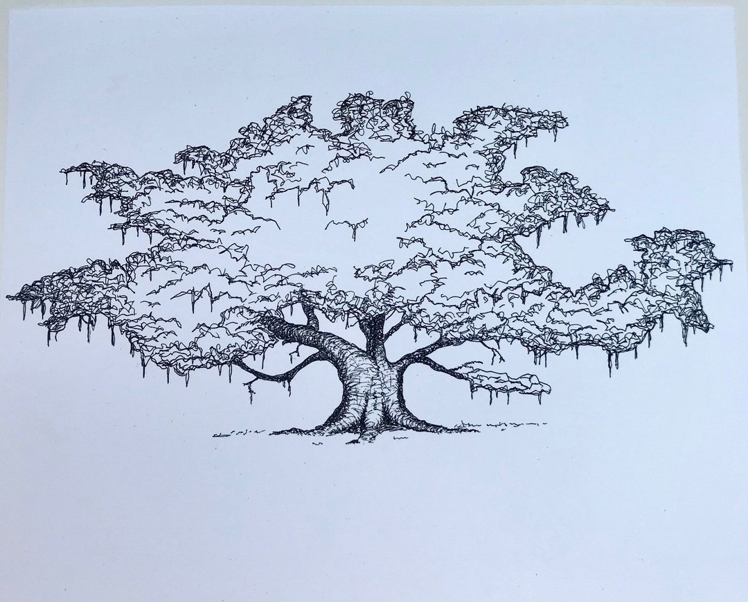 Oak Tree Art Pen and Ink Drawing, Louisiana Art Print, Acadiana Art ...