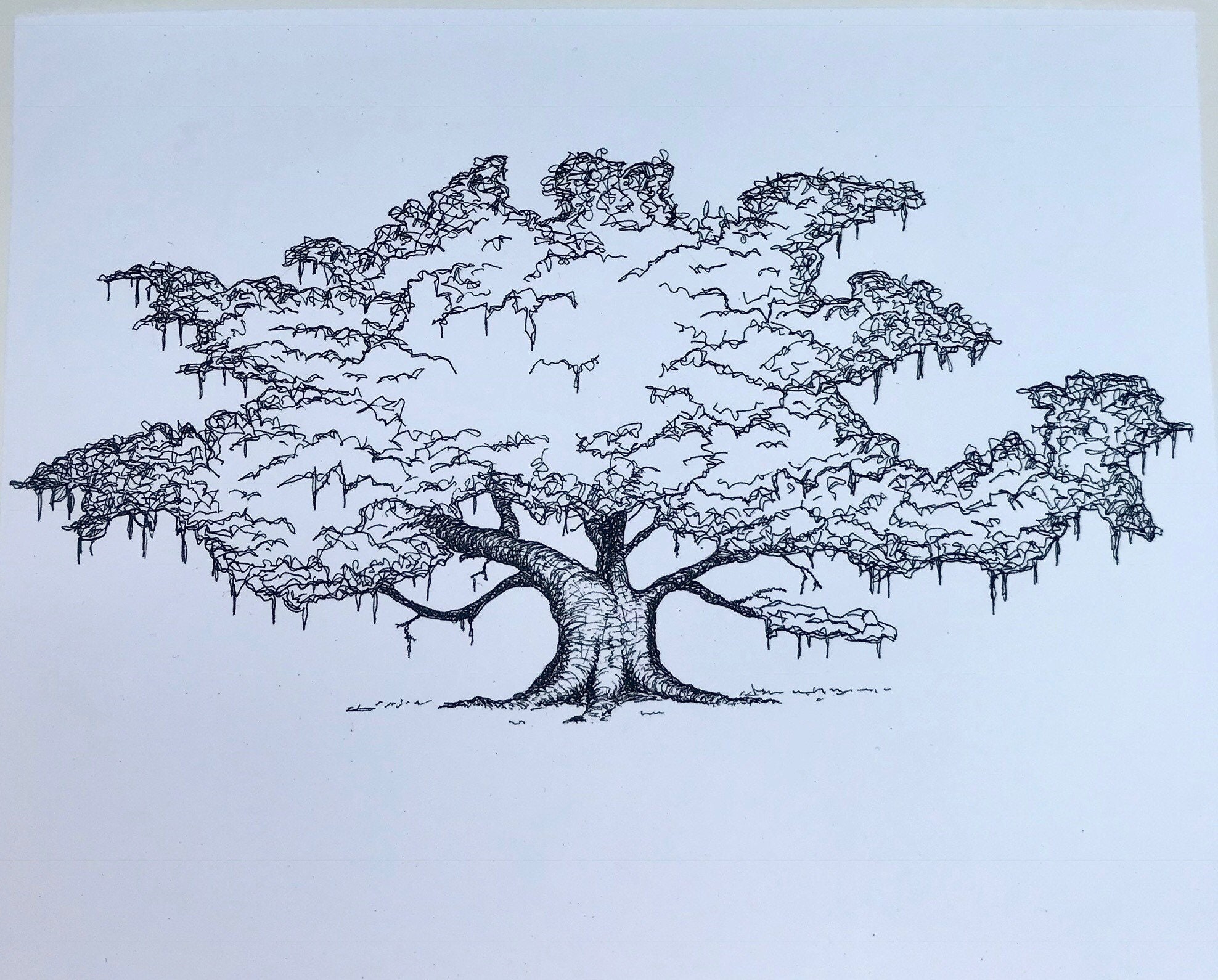 Oak Tree Art Pen and Ink Drawing Louisiana Art Print - Etsy