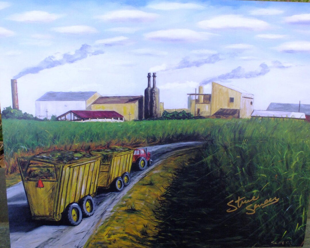 Louisiana Sugarcane Farming Art Print, Acadiana Art for Cajun Rustic ...