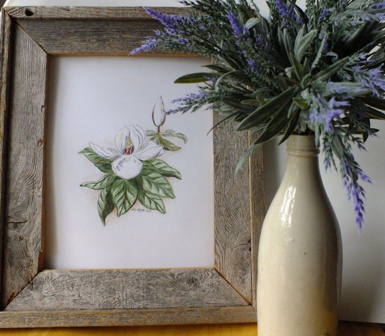 Magnolia Pen and Ink Drawing Louisiana Art Print Magnolia - Etsy