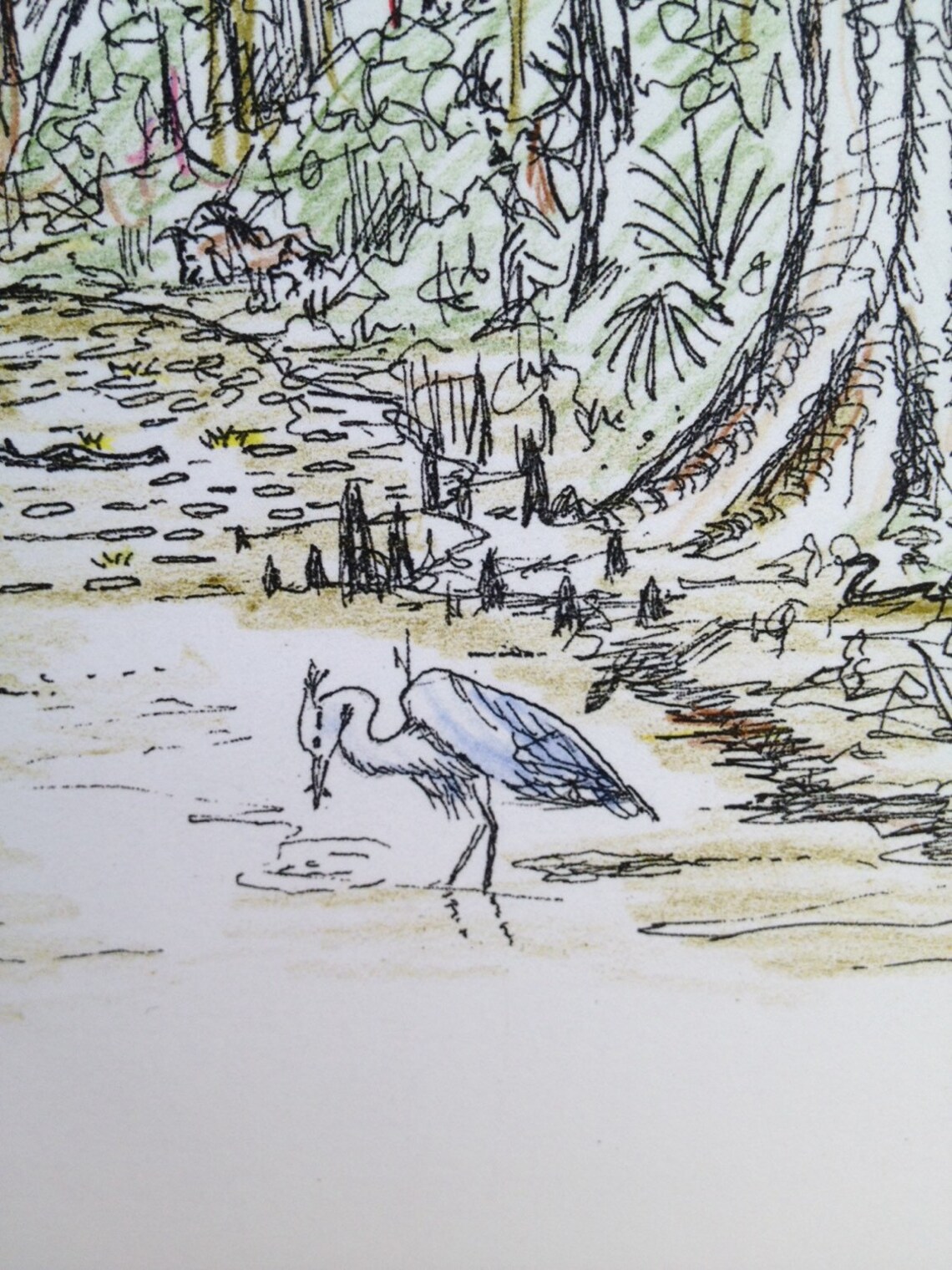 Hidden Animals in Swamp Pen and Ink Drawing Fathers Day - Etsy