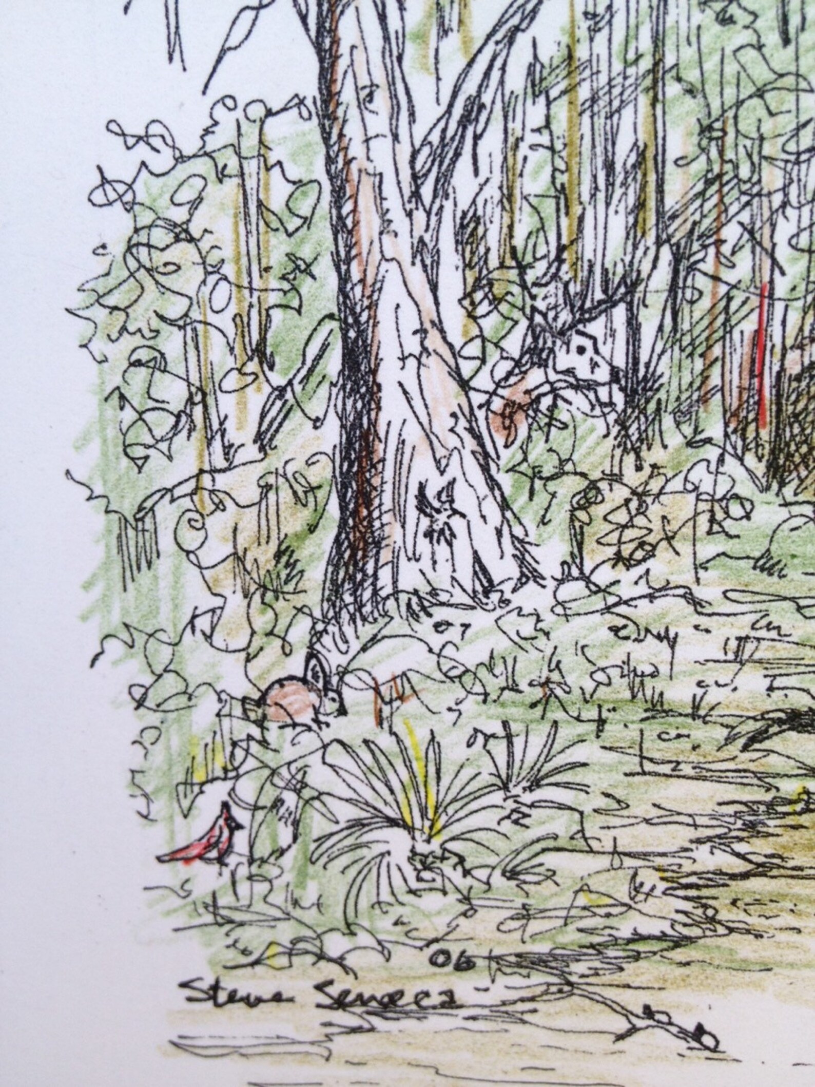 Hidden Animals in Swamp Pen and Ink Drawing Fathers Day - Etsy