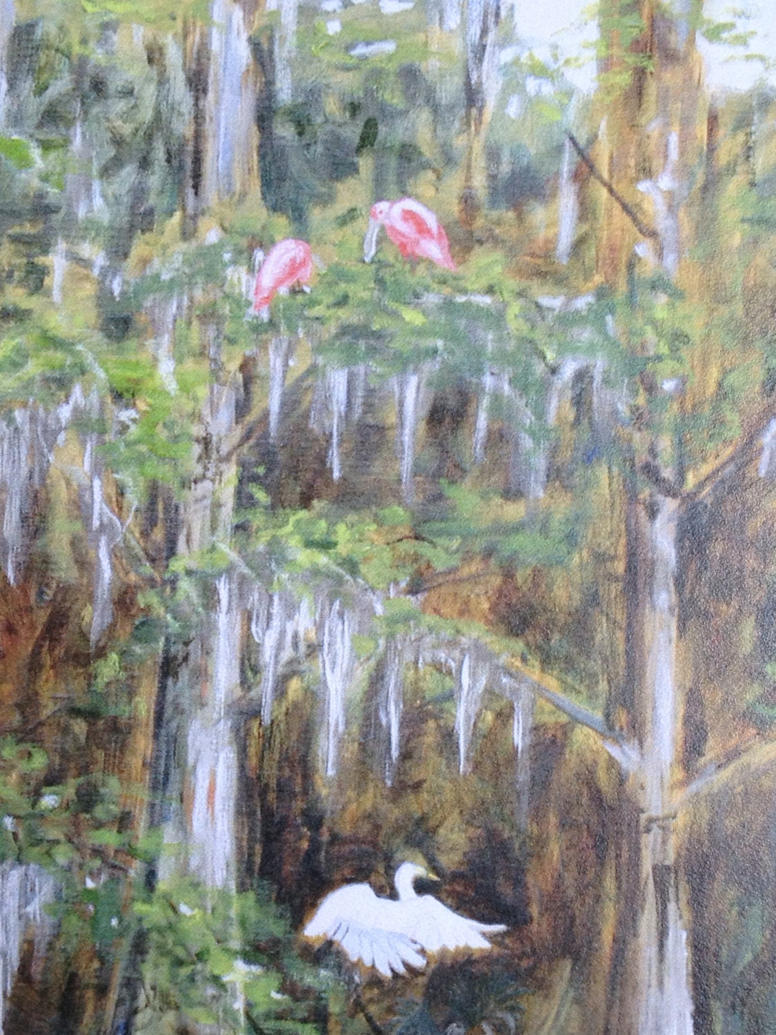 Swamp Birds Louisiana art print Cajun decor Acadiana art | Etsy