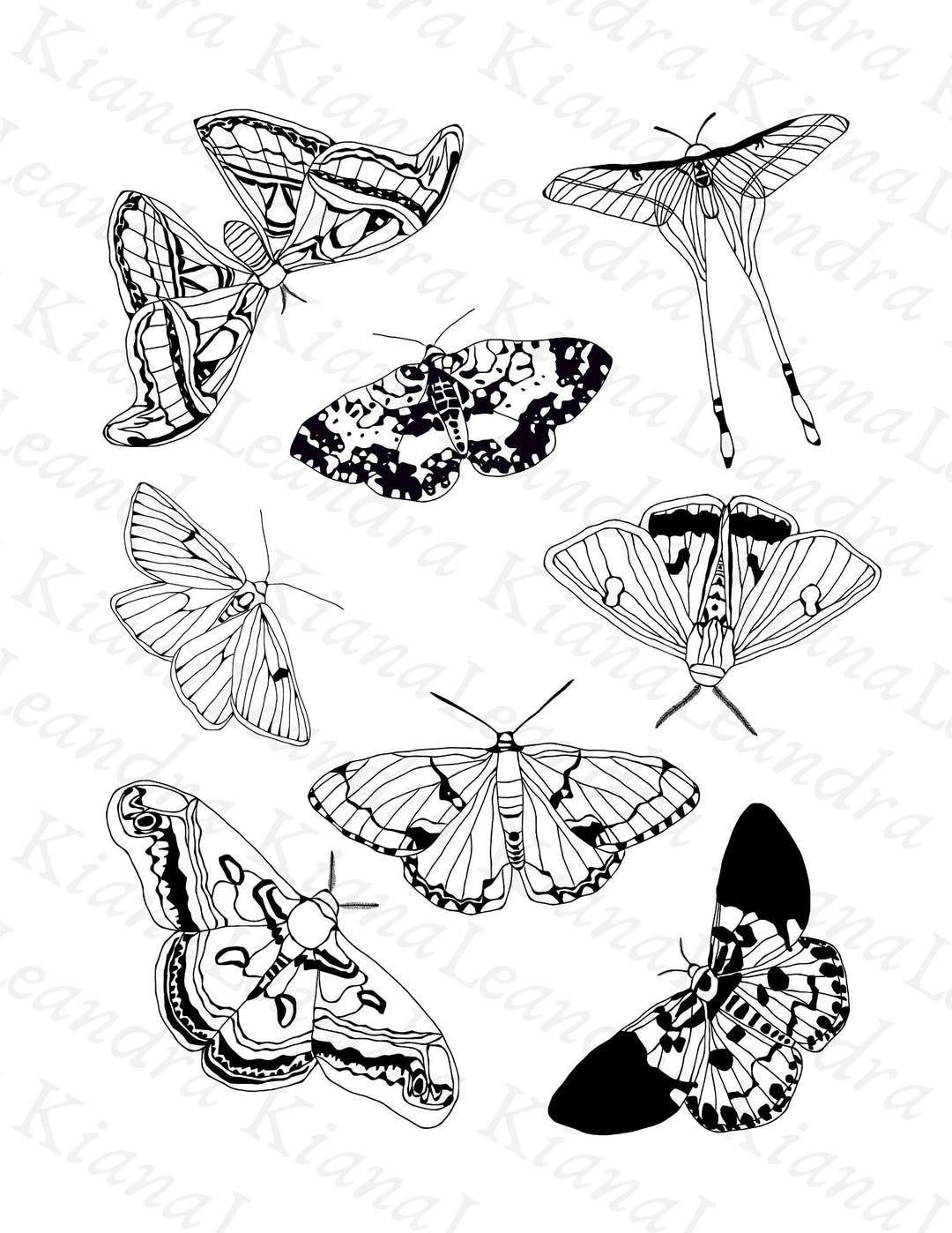 Moth Printable Paper Cutout Pack#1 - for Scrapbook Journals and ...