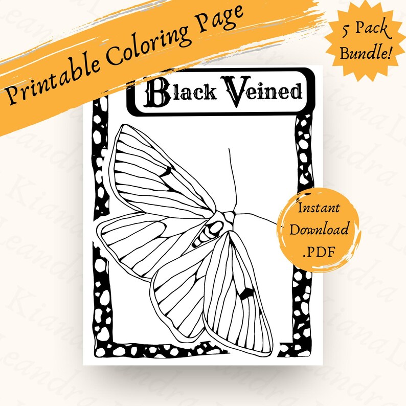 Moth Coloring Page Pack #1 - Etsy