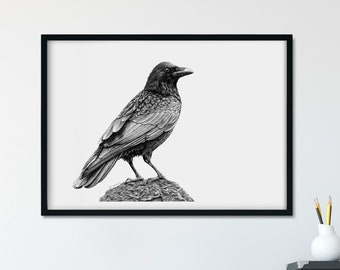 Corvid Print | Etsy