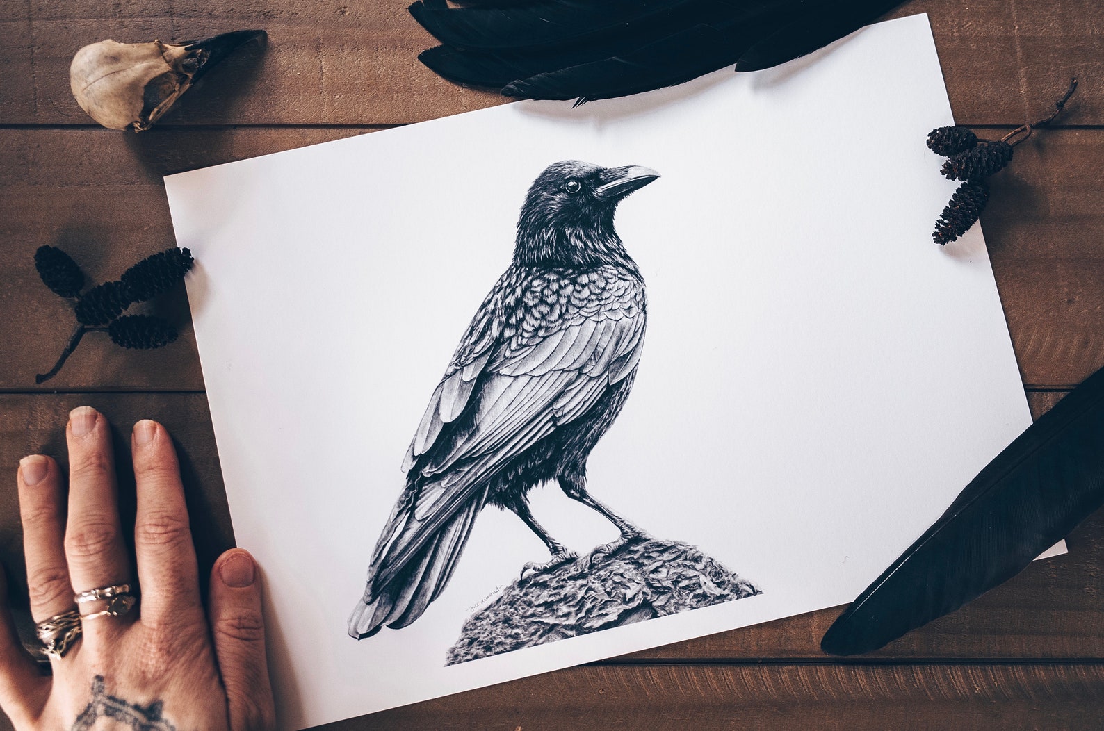 Crow Art Prints - A3, A4, A5 Sizes - Corvus Corone - Bird Wall Art ...