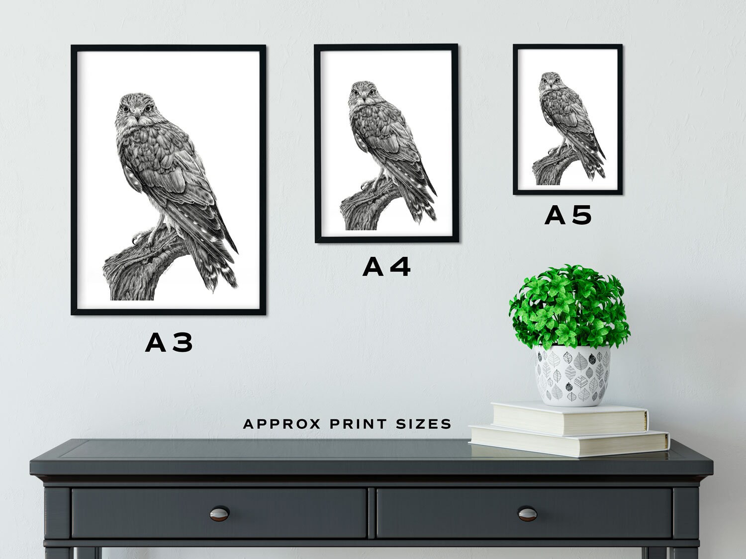 Female Merlin Art Prints - A3, A4, A5 Sizes - Falco Columbarius ...