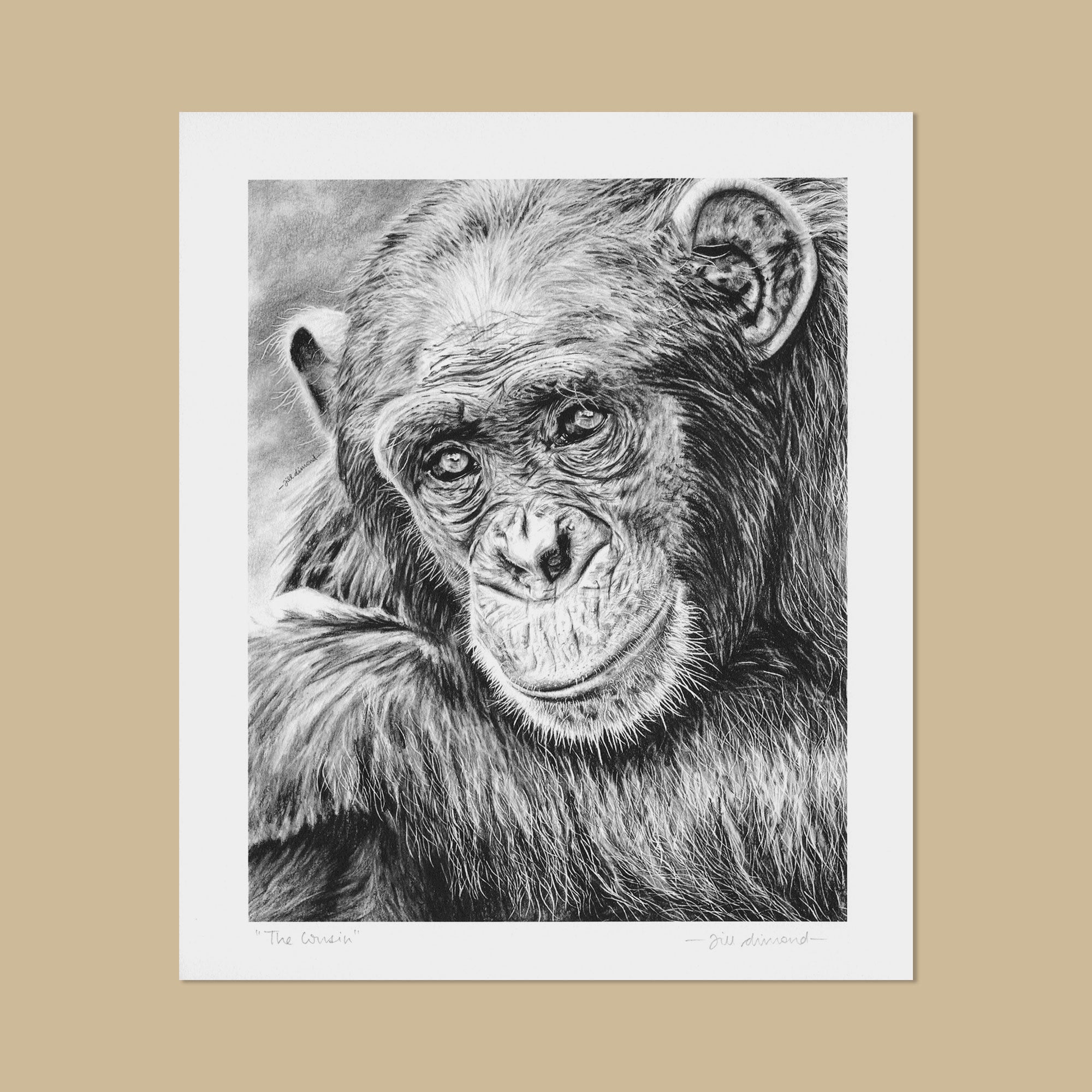 Chimpanzee Pencil Drawing