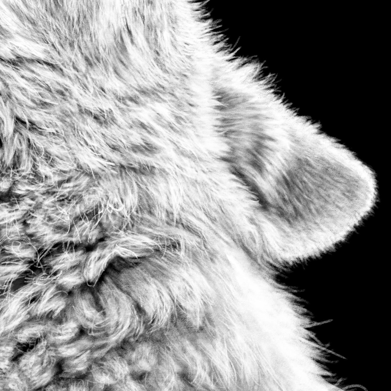 Howling Wolf Art Prints A3 A4 A5 Sizes White Wolf - Etsy