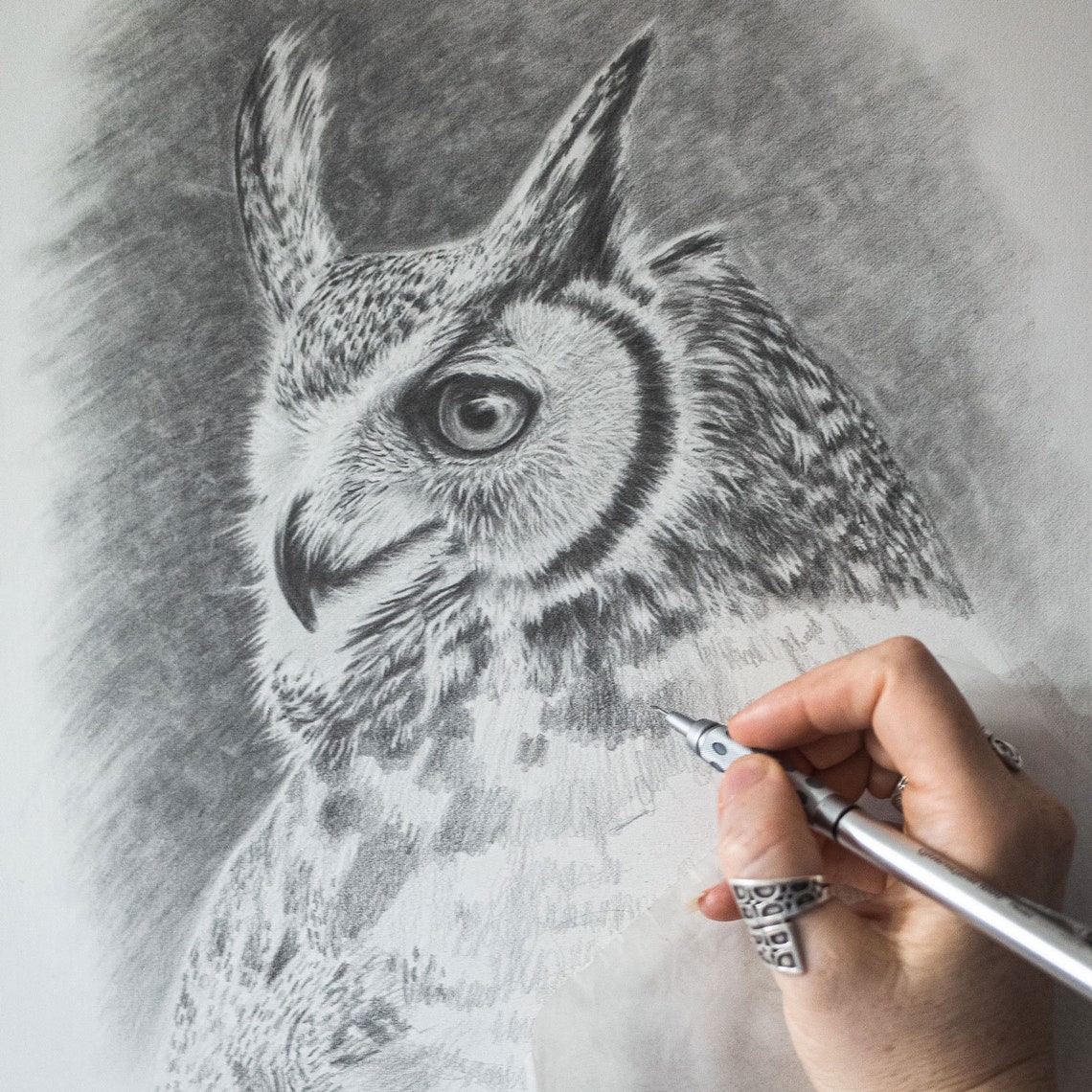 Original Great Horned Owl Graphite Pencil Drawing Bird of - Etsy UK