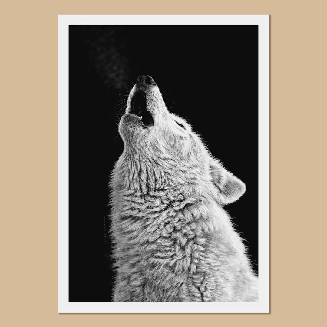 Howling Wolf Art Prints - A3, A4, A5 Sizes - White Wolf - Digital ...
