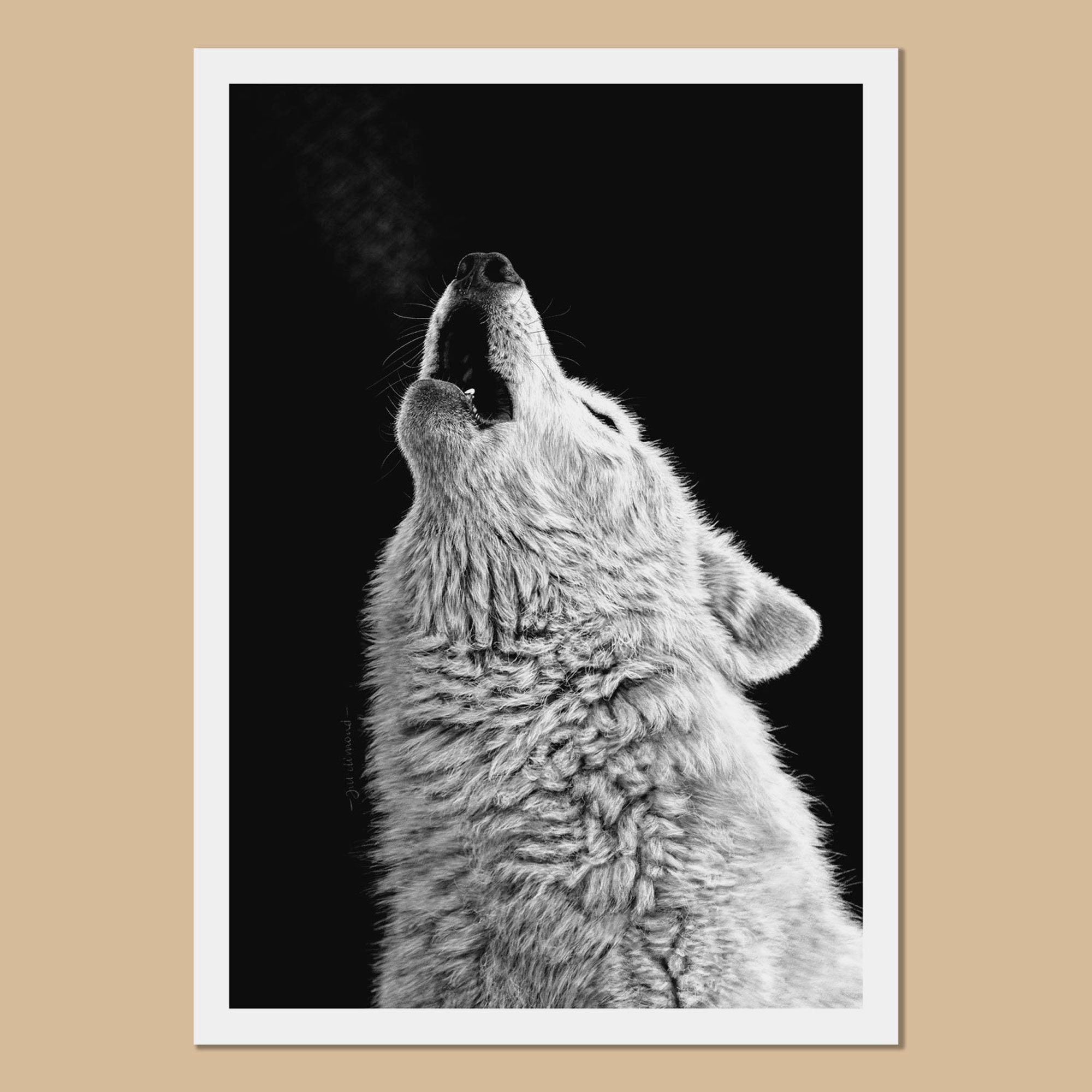 White Wolf Howling Drawing