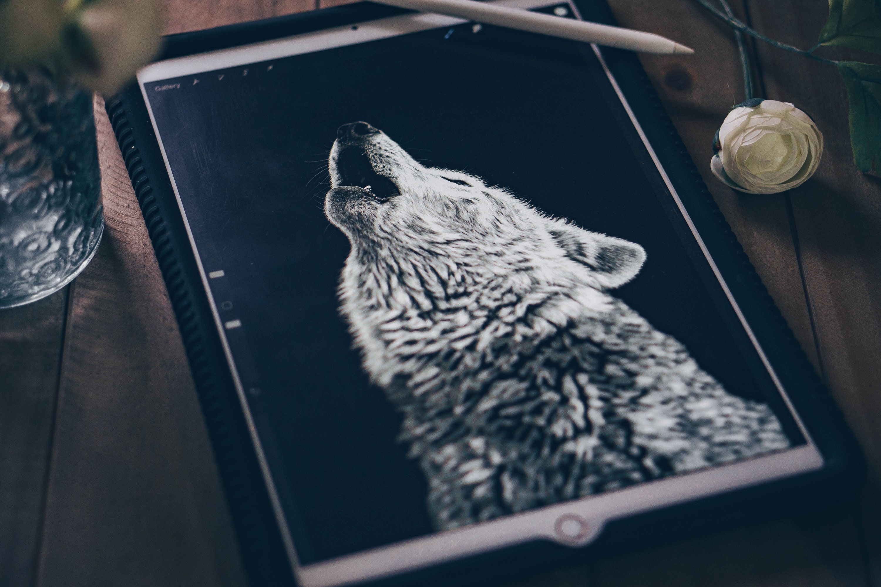 Howling Wolf Art Prints A3 A4 A5 Sizes White Wolf - Etsy
