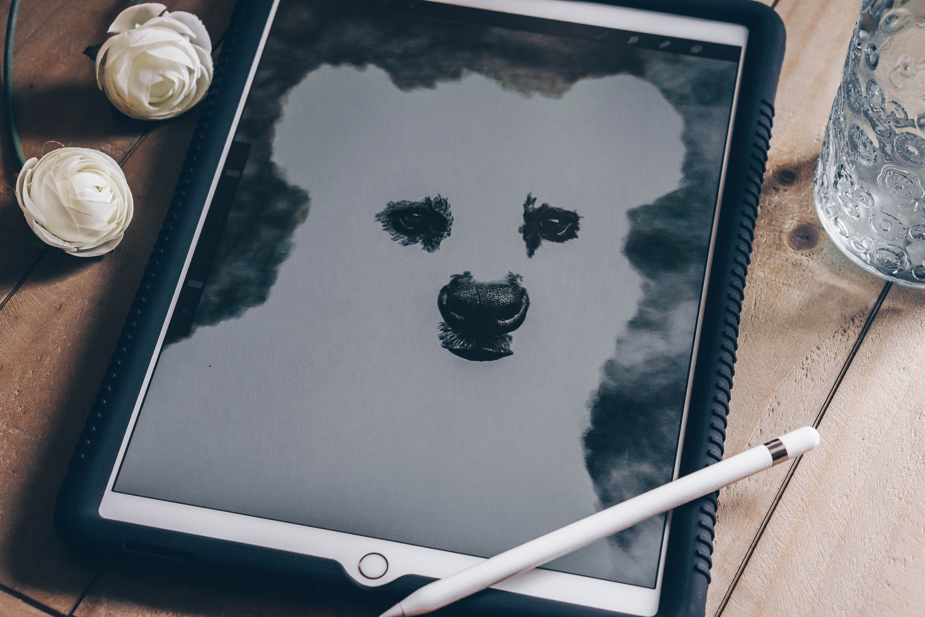 A5 Spotted Hyena Greeting Card, Hyena Birthday Card, Any Occasion Card ...