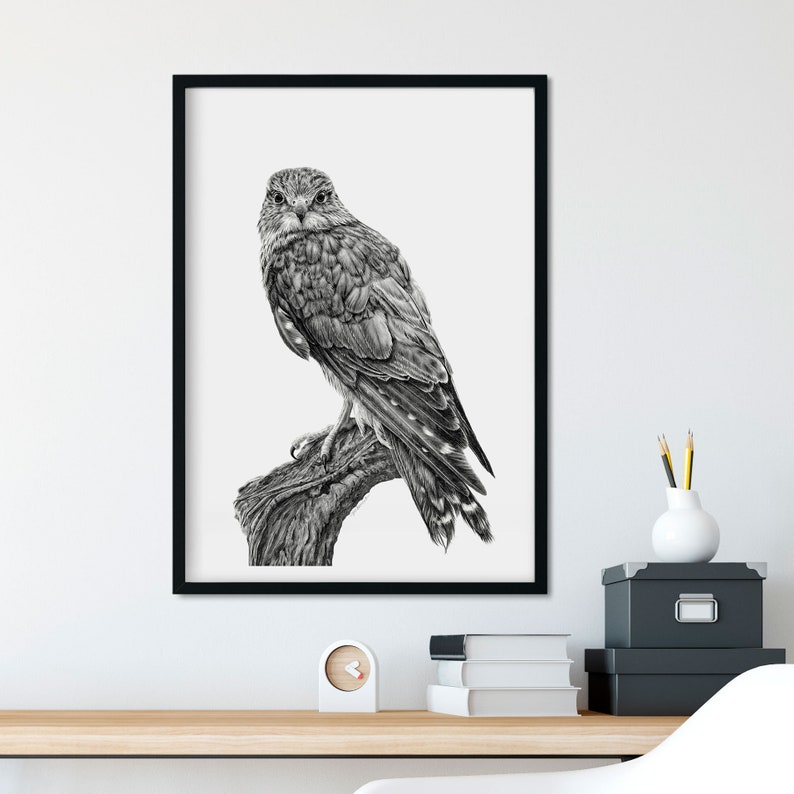 Female Merlin Art Prints A3 A4 A5 Sizes Falco - Etsy