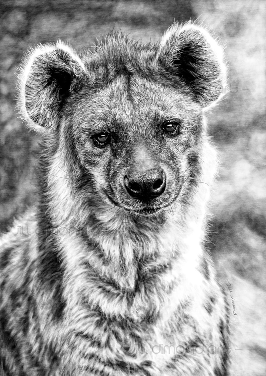 A5 Spotted Hyena Greeting Card, Hyena Birthday Card, Any Occasion Card ...
