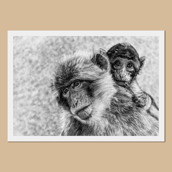 Mother and Baby Macaque Art Prints A3 A4 A5 Sizes Monkey - Etsy