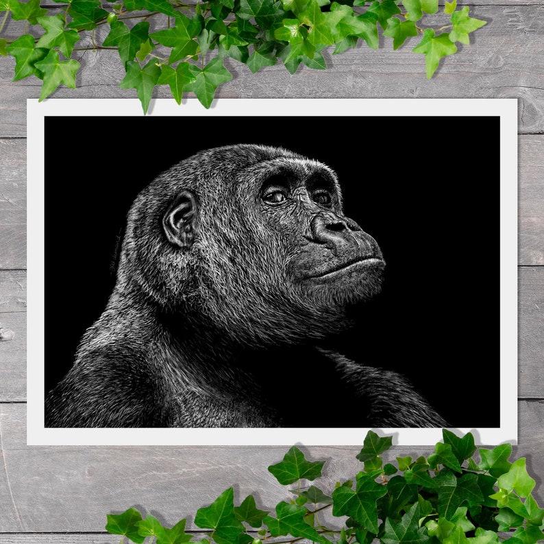 Gorilla Art Prints - A3, A4, A5 Sizes - Digital Drawing - Wildlife Wall ...
