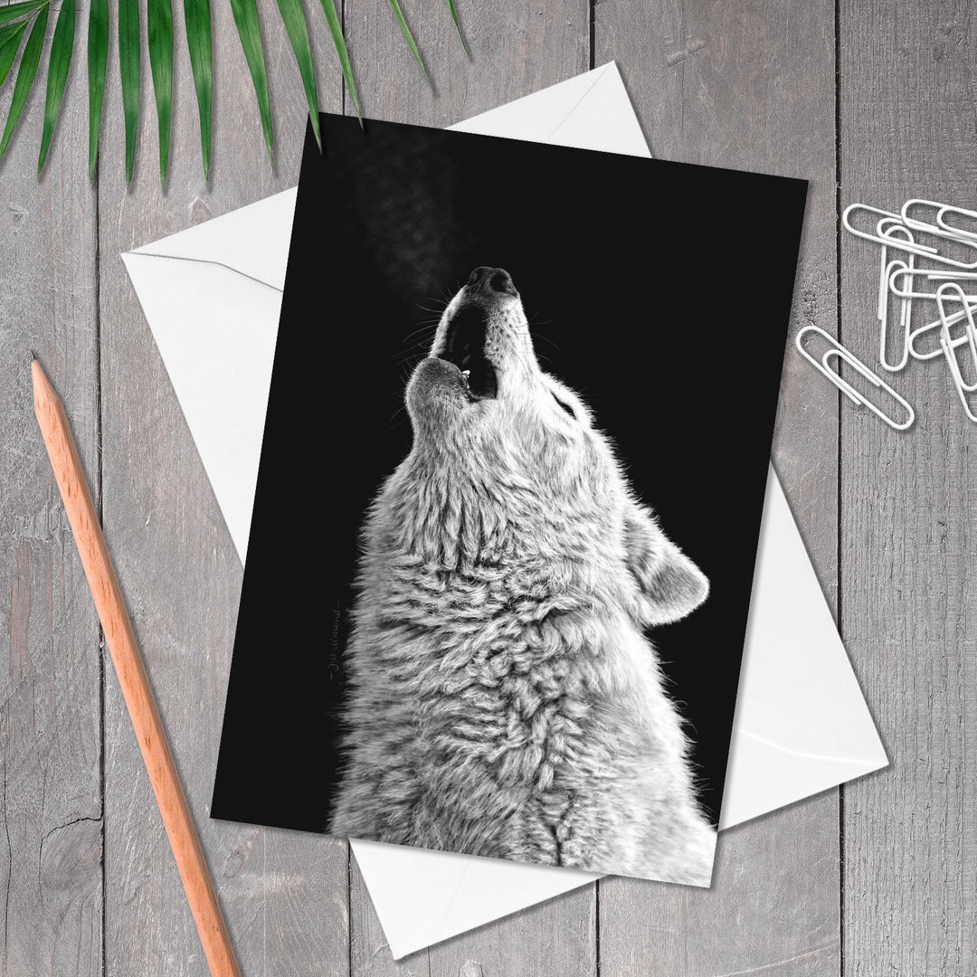 A5 Howling Wolf Greeting Card, White Wolf Birthday Card, Hand-drawn ...