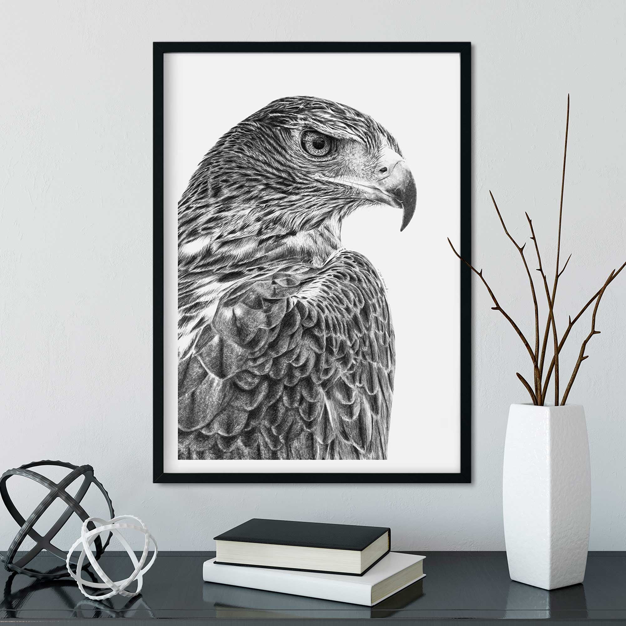 Golden Eagle Art Prints A3, A4, A5 Sizes Aquila Chrysaetos Eagle Pencil ...