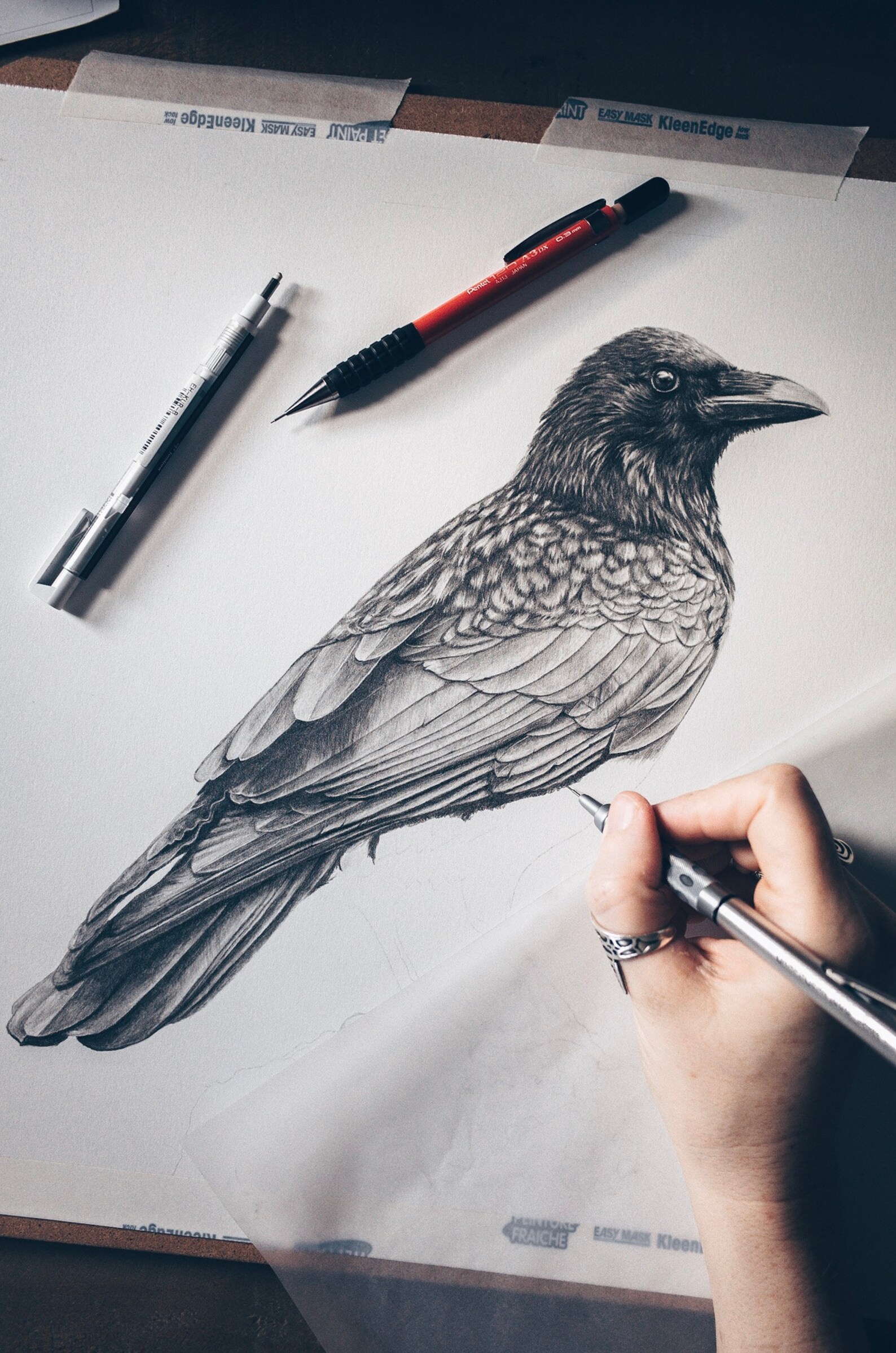 Crow Art Prints - A3, A4, A5 Sizes - Corvus Corone - Bird Wall Art ...