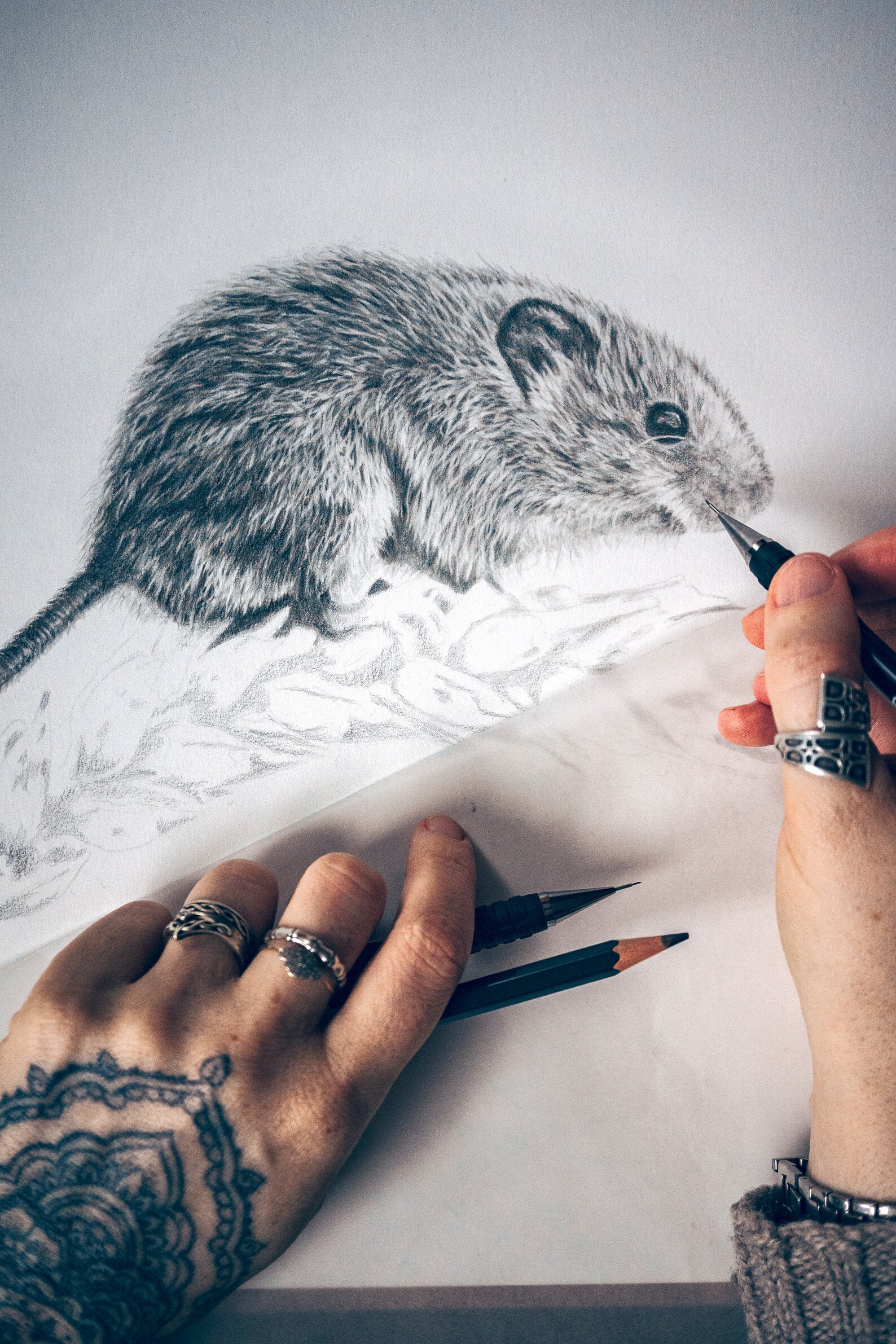 Harvest Mouse Art Prints - A3, A4, A5 Sizes - Cute Mouse Pencil Drawing ...