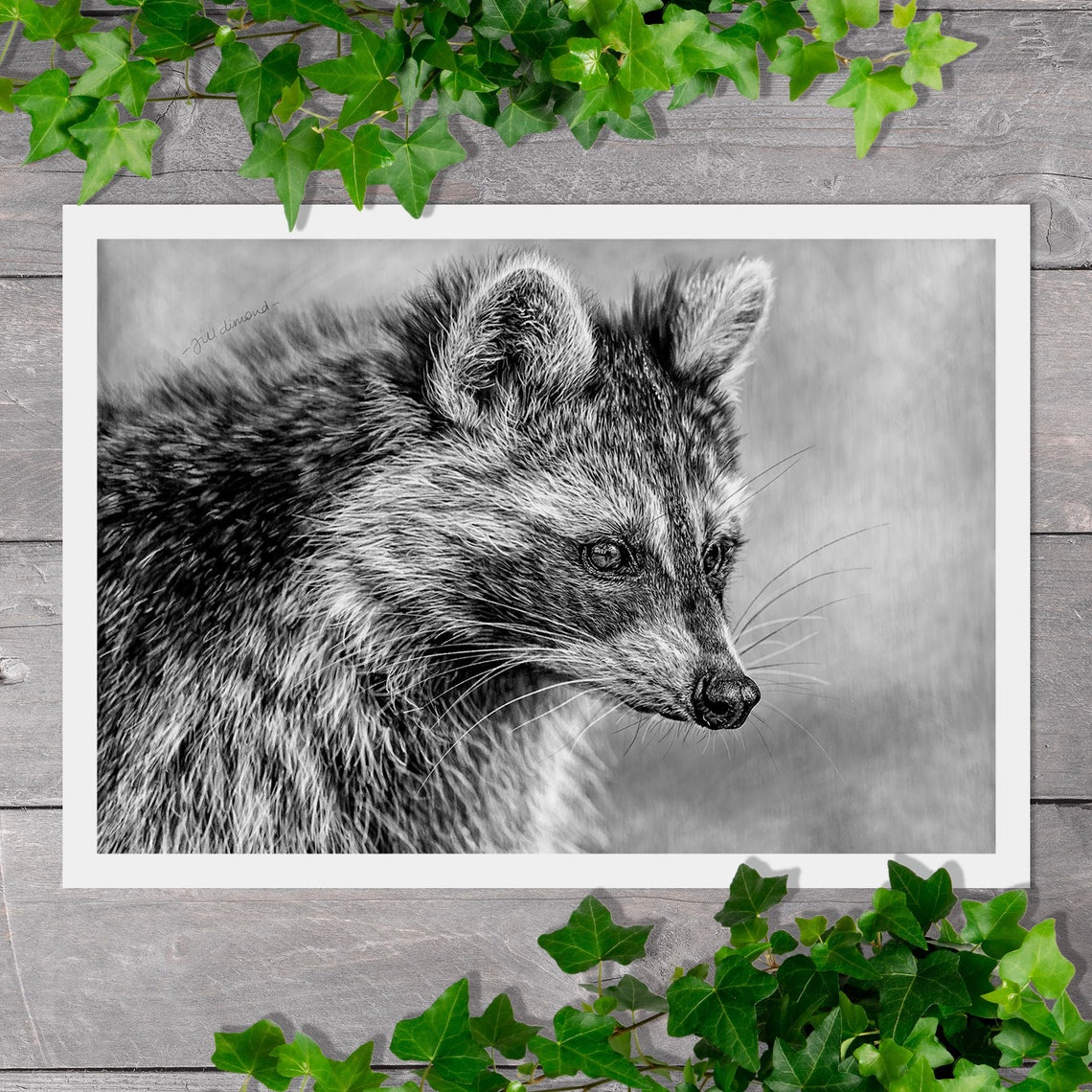 Raccoon Art Prints A3 A4 A5 Sizes Animal Wall Art - Etsy UK
