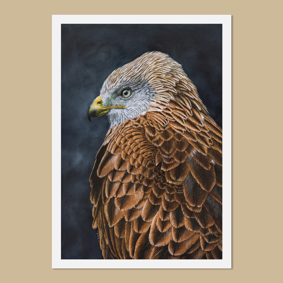 Red Kite Portrait Art Prints, A3 & A4 Size, Milvus Milvus, Red Kite ...