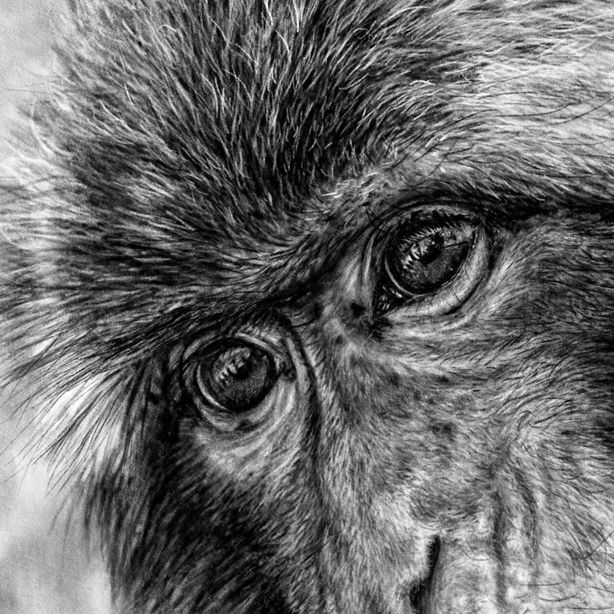 Mother and Baby Macaque Art Prints A3, A4, A5 Sizes Monkey Digital ...