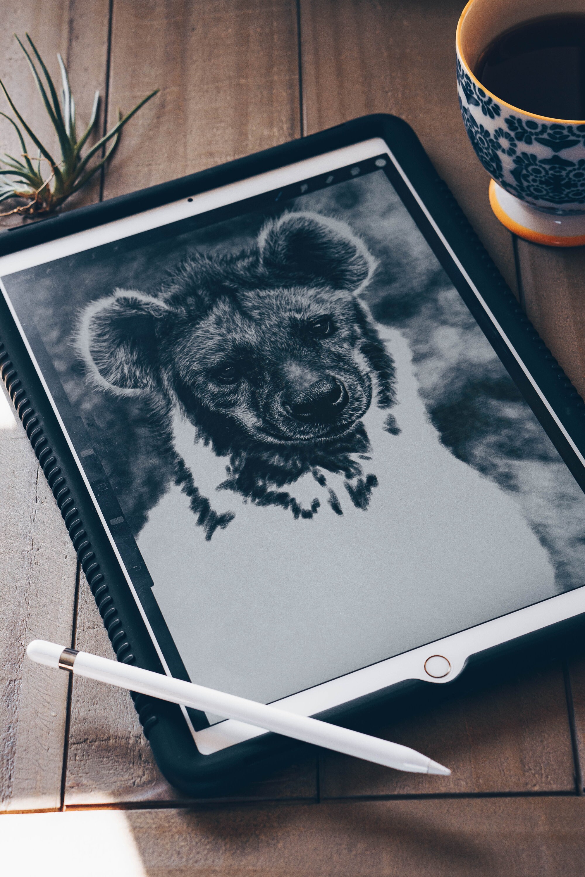 A5 Spotted Hyena Greeting Card, Hyena Birthday Card, Any Occasion Card ...