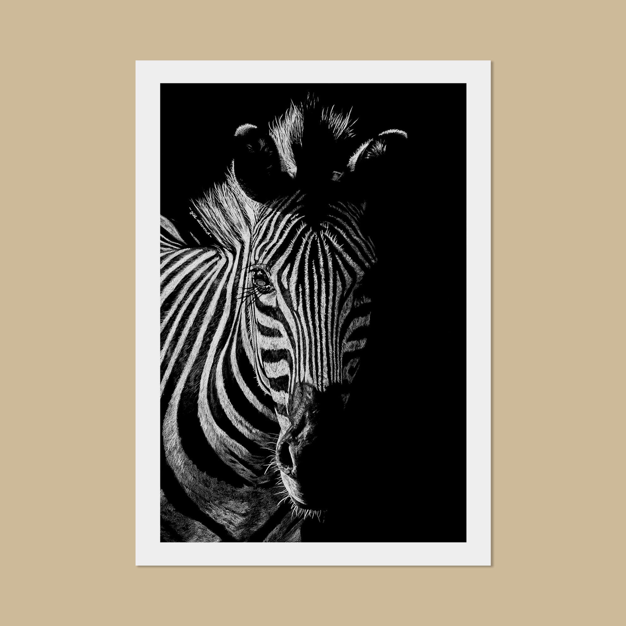 Zebra Print Drawings