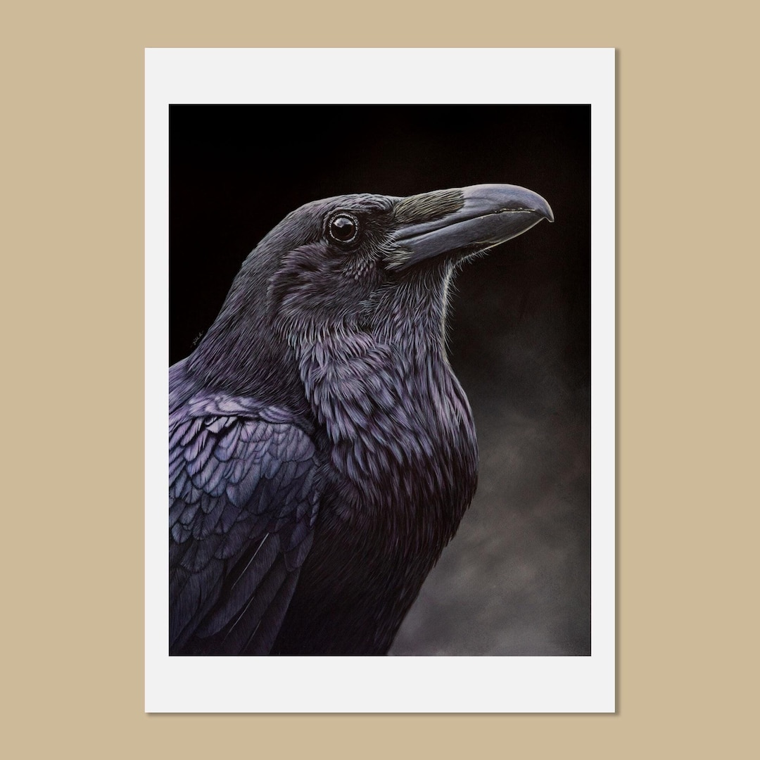 Common Raven Art Prints, A3 & A4 Sizes, (corvus Corax), Gift for Bird ...