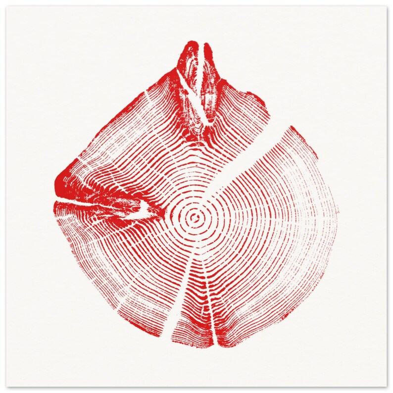 Montana Western Larch Tree Ring Wall Art in Red, Tree Wall Decor ...