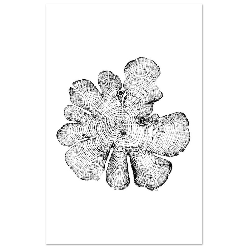 North Carolina Red Cedar Tree Rings Relief Print - Matte Paper Wall Art ...